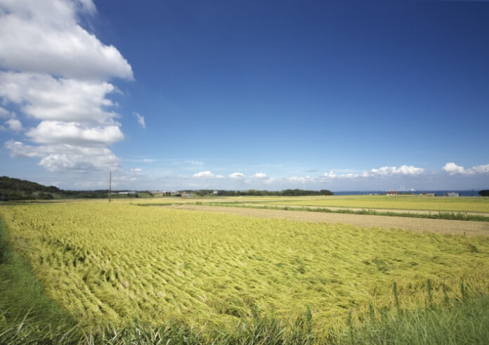 家田製菓のポン菓子とは｜家田製菓株式会社｜愛知県南知多町
